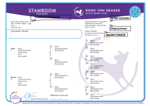 Inschrijven JPC Evenement – Nova Scotia Duck Tolling Retriever Club ...